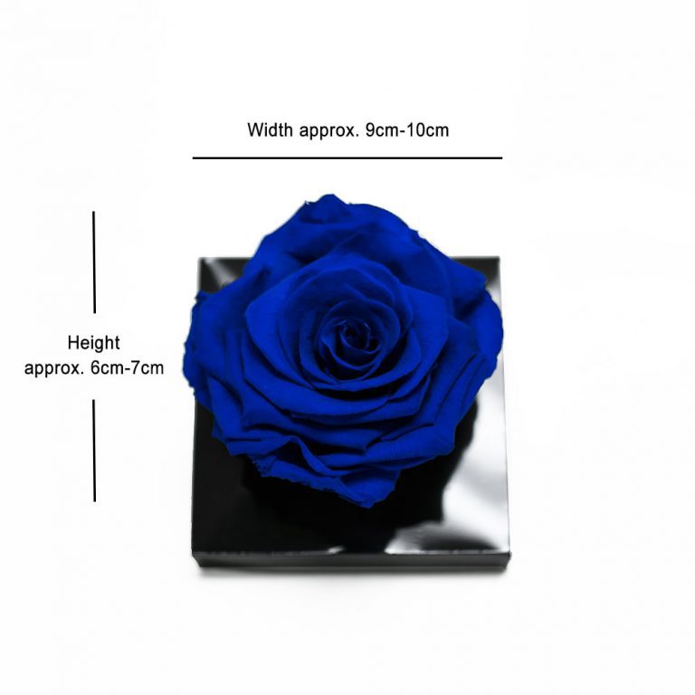 XL Blue Ecuadorian Eternity Flower Preserved Rose 9cm to 10cm | D & E ...