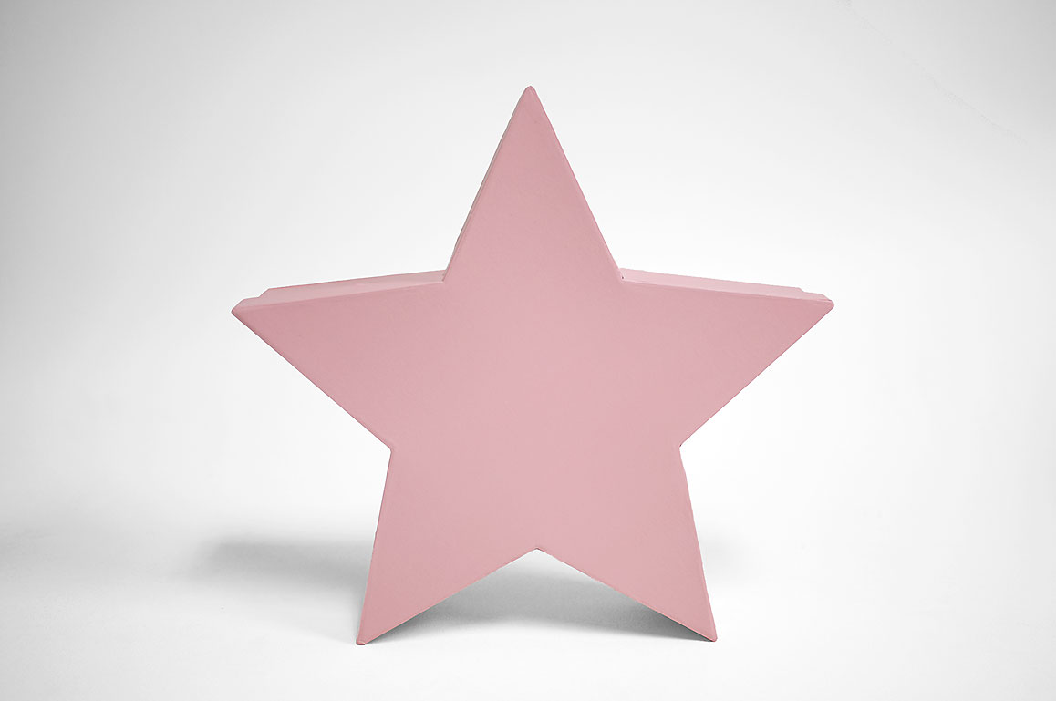 W6661 Pink Star Shape Flower Box | D & E Floral Supplies