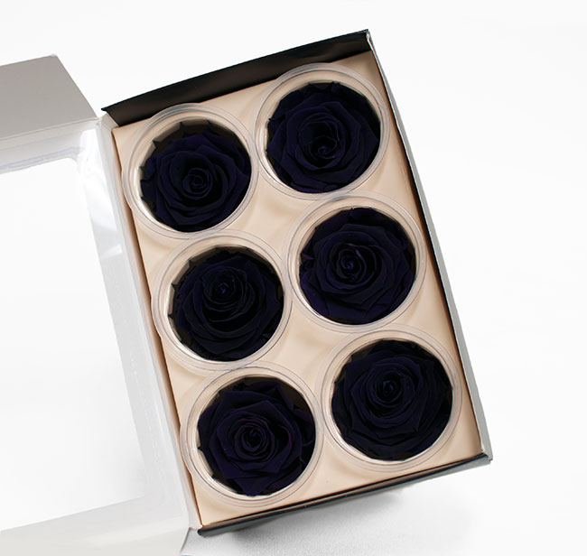 Violet Ecuadorian Eternity Flowers Preserved Roses Pack of 6 6cm to 7cm ...